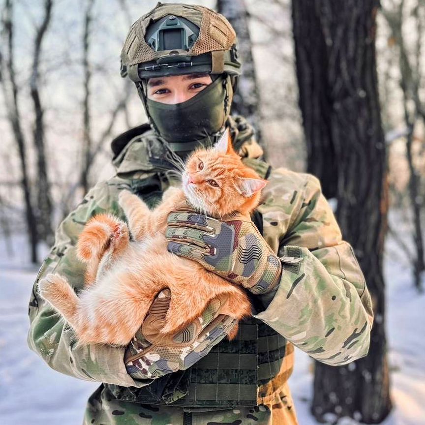 Взрослая кошка в добрые руки