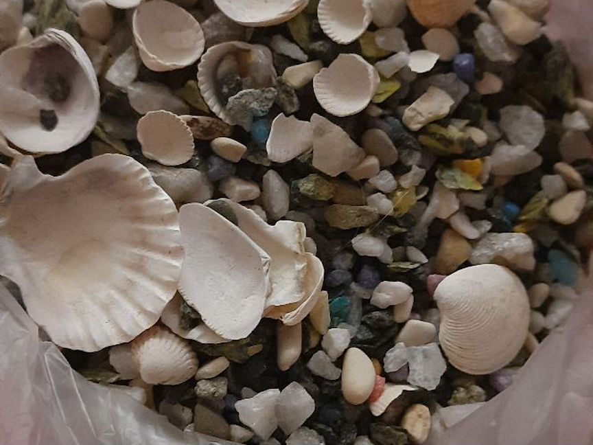 Ракушка, грунт, декор