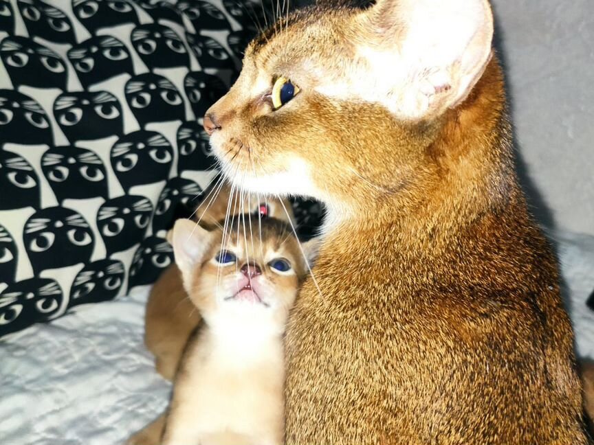 Малыши