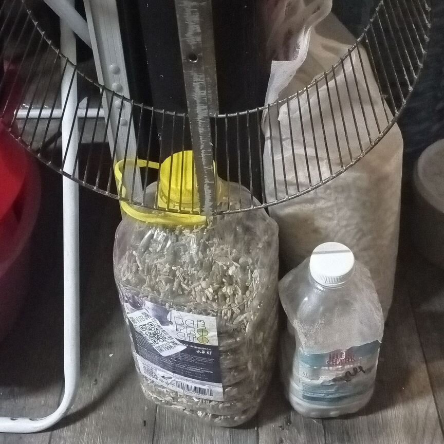 Корм, наполнитель, песок, сено для грызунов