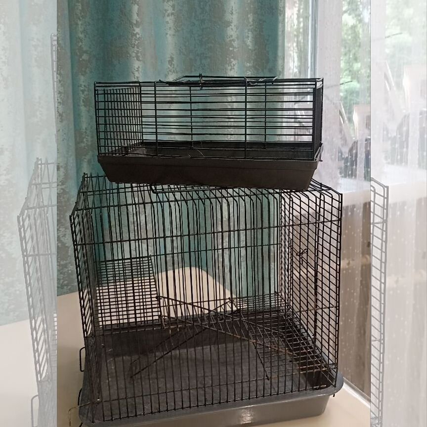 Клетка