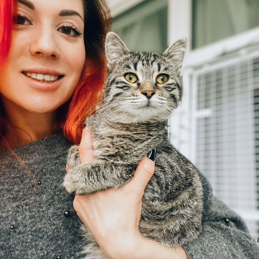 Котёнок в тельняшке Матрос