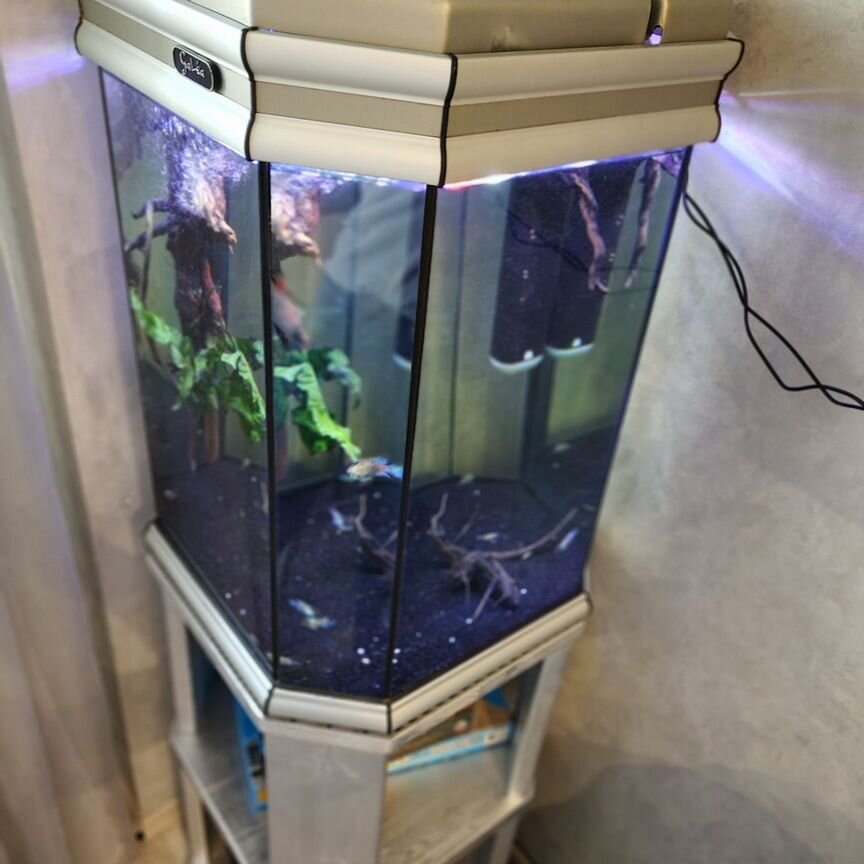 Аквариум с тумбой бу 200л