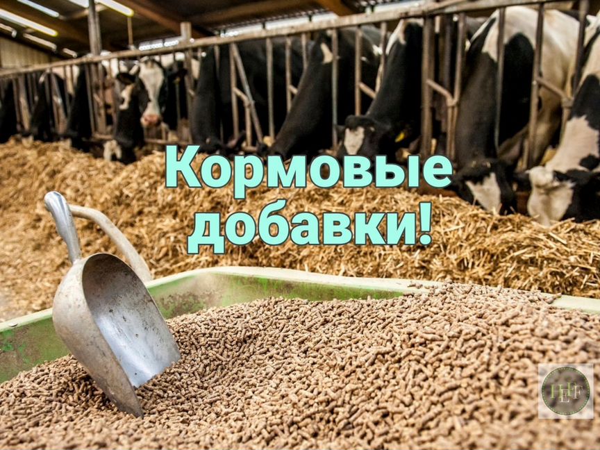 Комбикорм оптом
