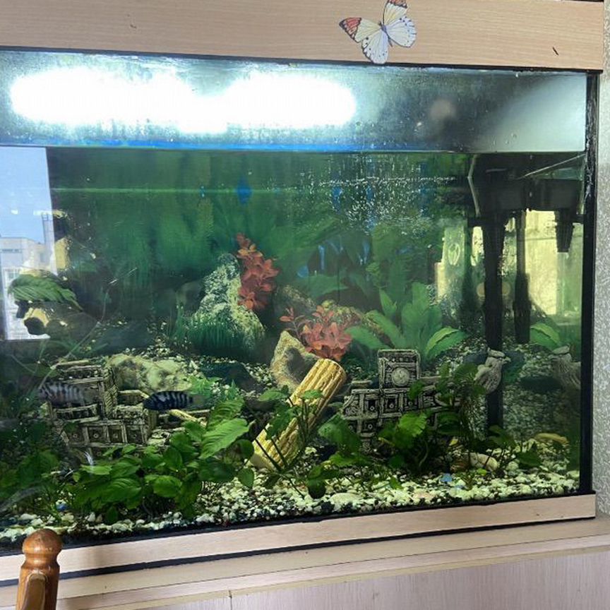 Аквариум 240 л