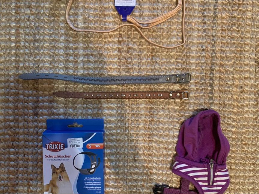 Аксессуары для собаки