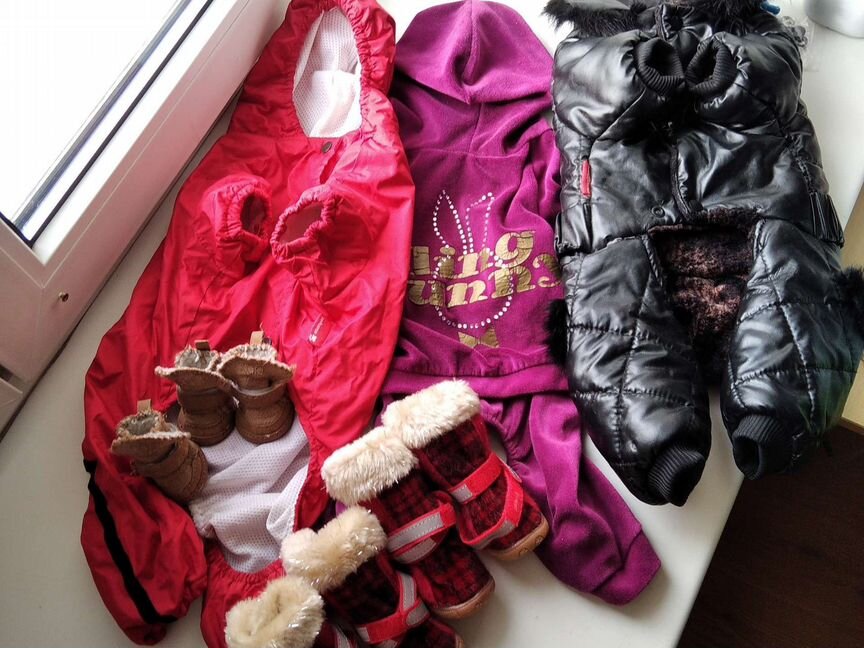 Одежда для маленькой собачки