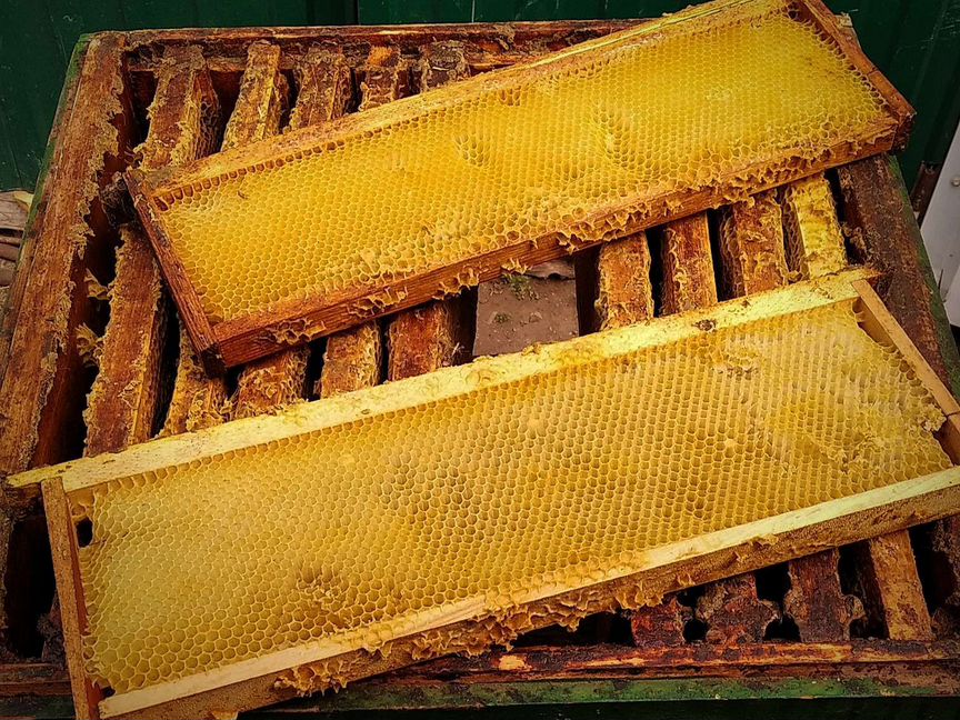 Рамки с сушью