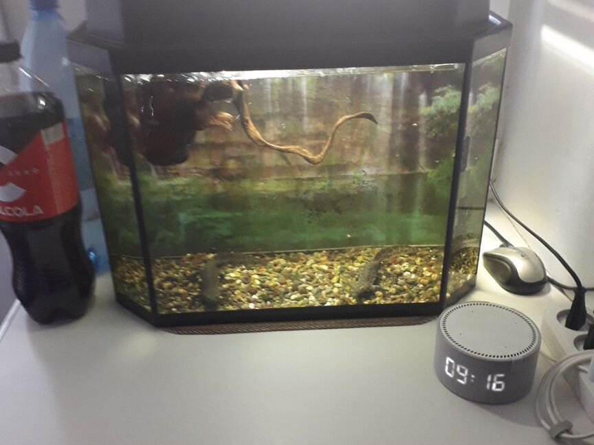 Аквариум 18л