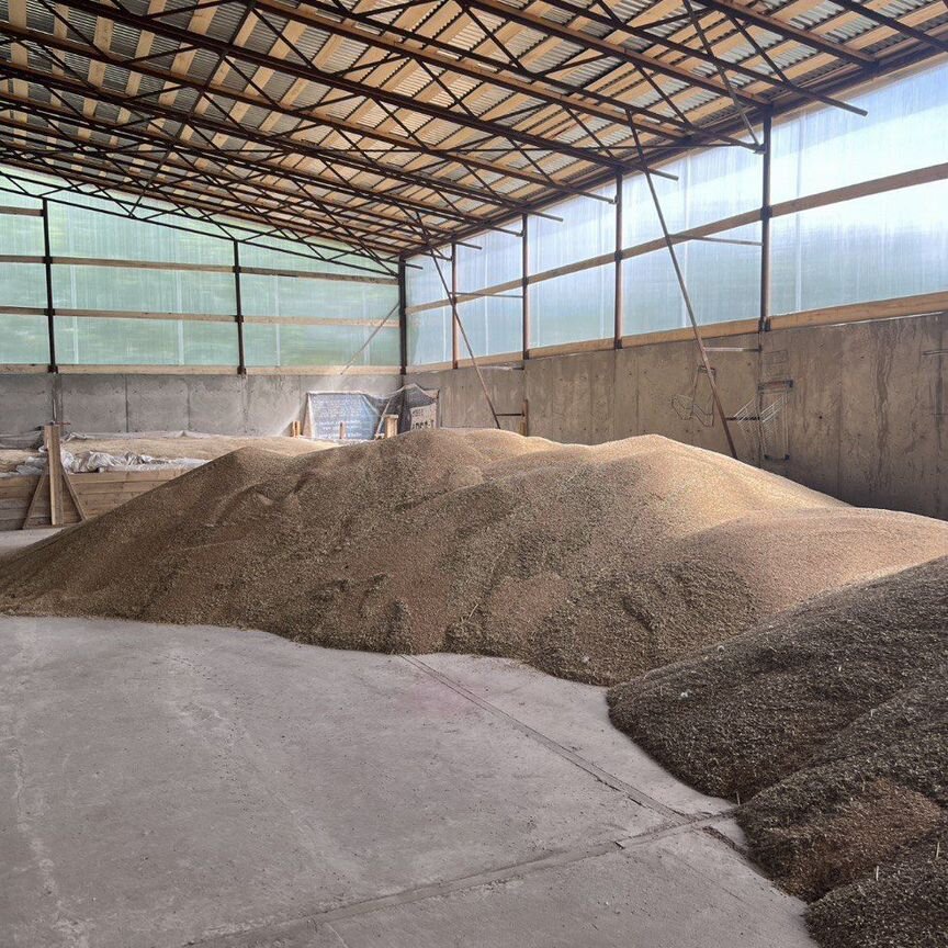 Зерно пшеница, ячмень, овес