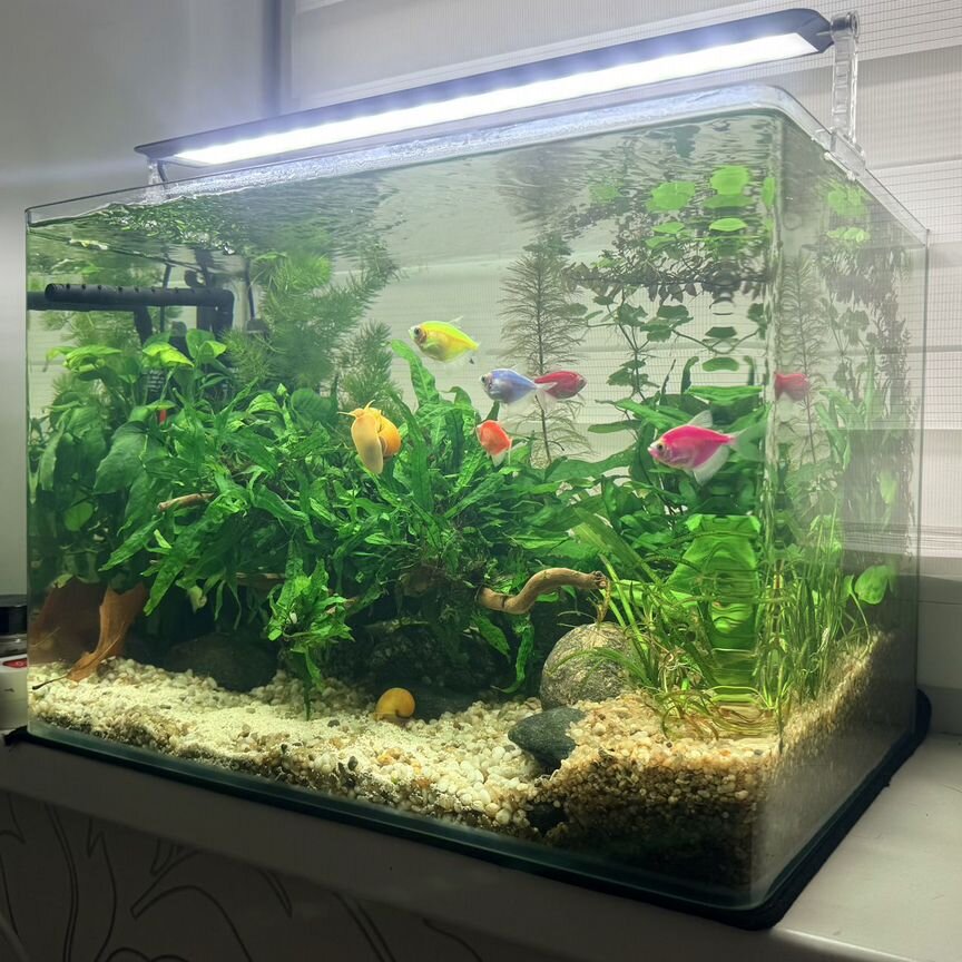 Аквариум панорамный 55 л