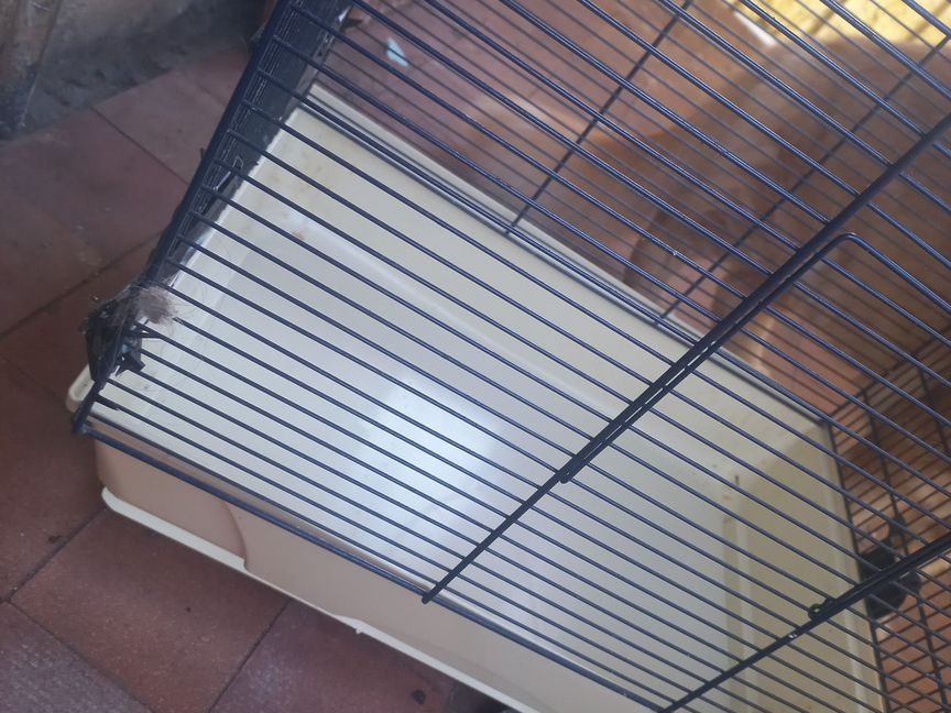 Товары для грызунов