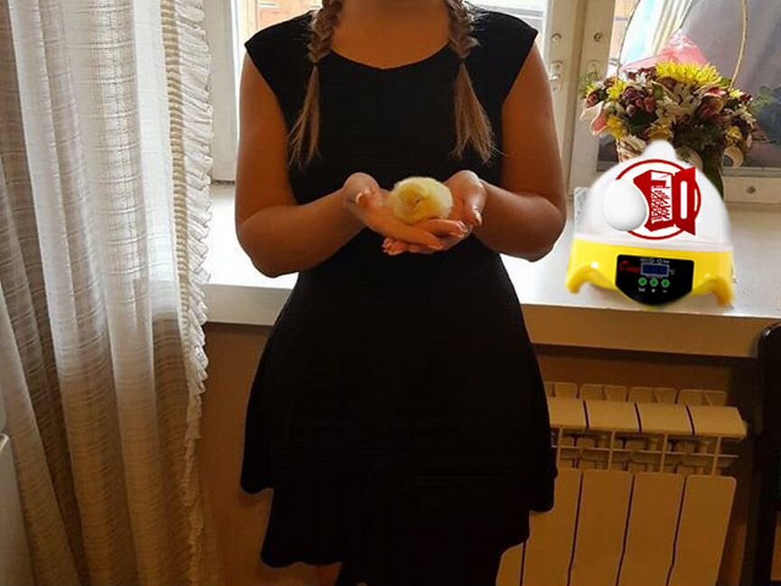 Инкубаторы