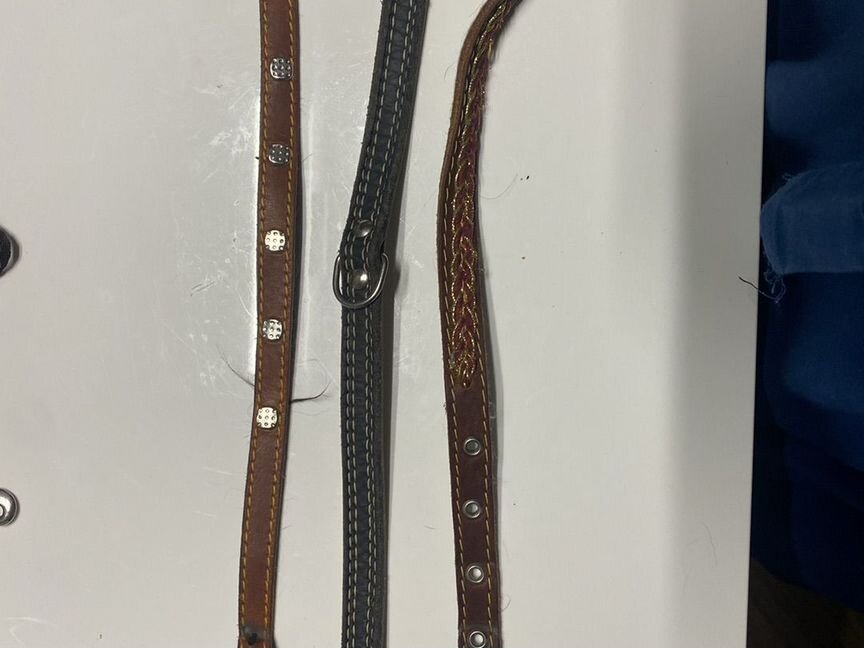 Ошейник для собак