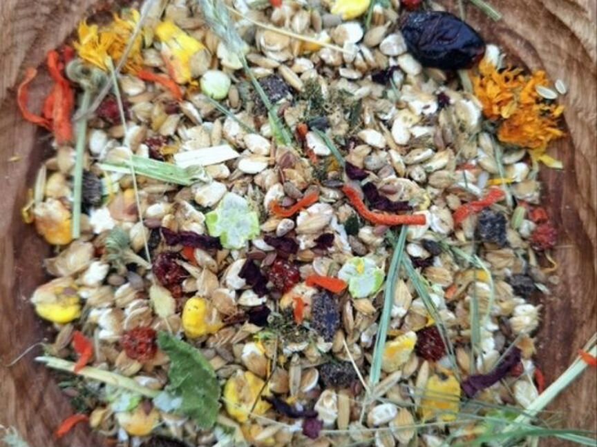 Корм для морских свинок без гранул