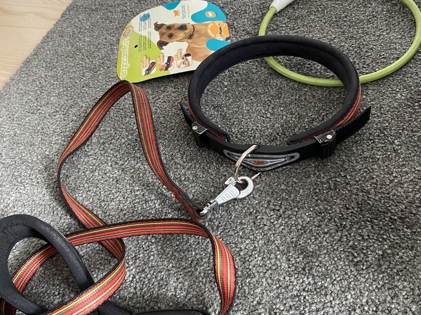 Для собак комбез Hurtta и поводок с ошейником