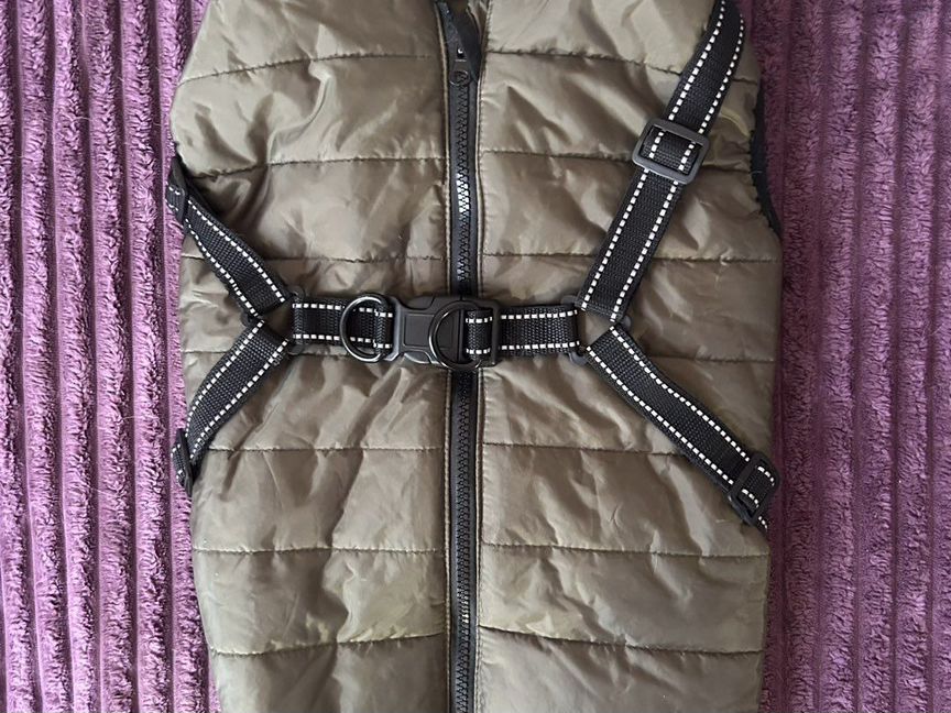 Жилетка для собаки