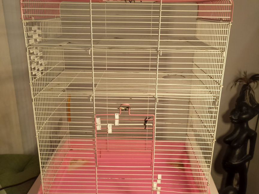 Клетки для хомяка и аксессуары