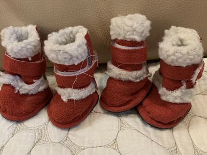 Башмачки на Мини dog