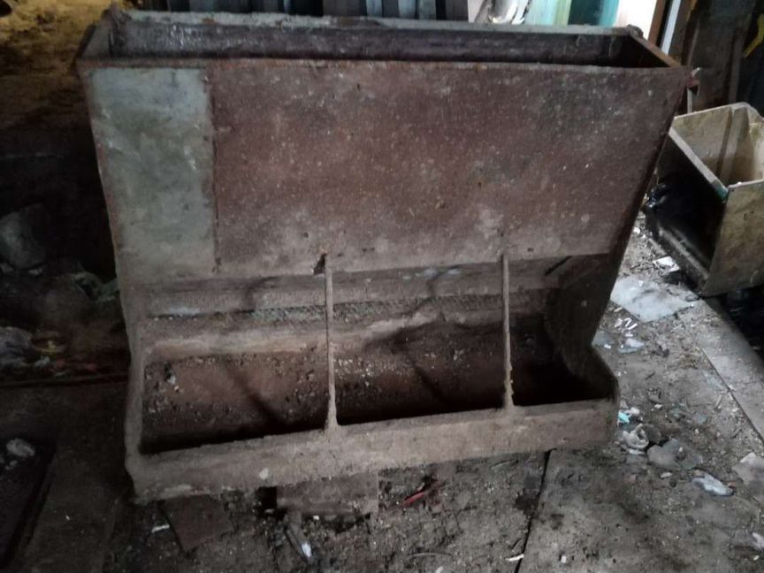 Бункерная кормушка для свиней