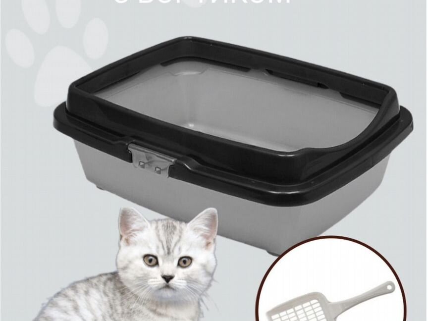 Лоток для котят