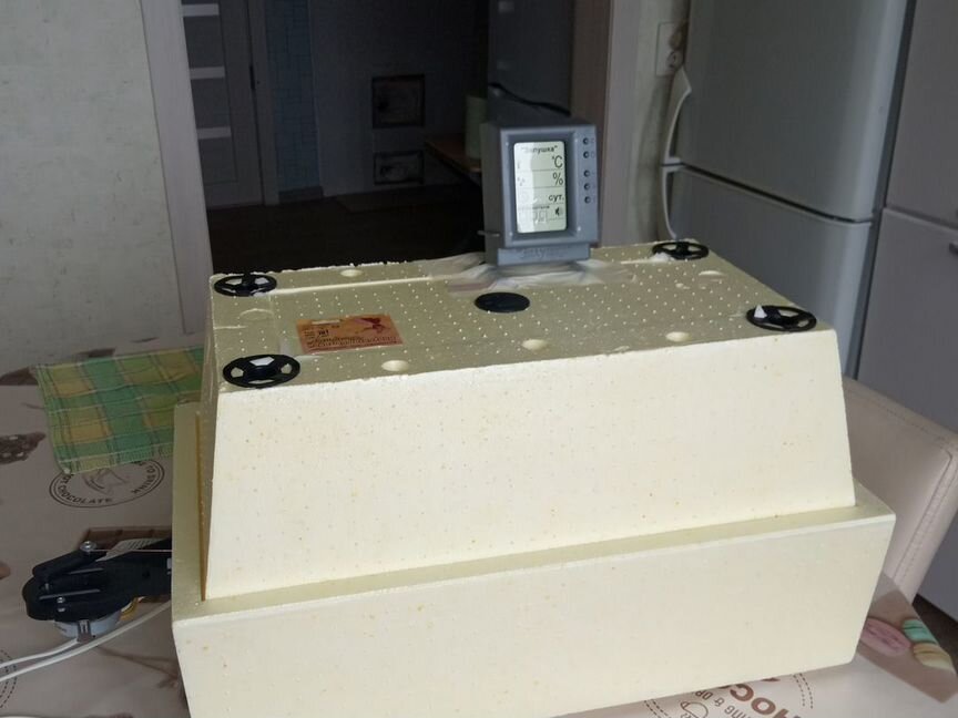 Инкубатор золушка