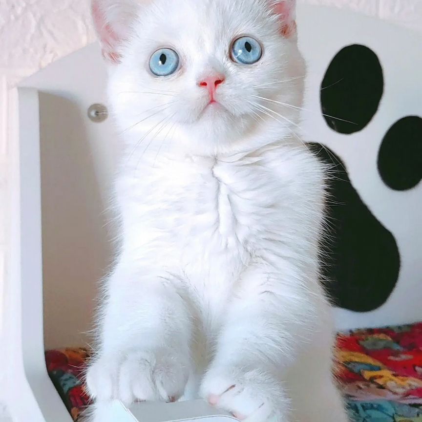 Сладкий малыш