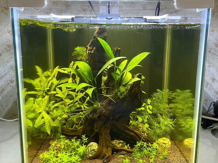 Аквариум на 30 литров