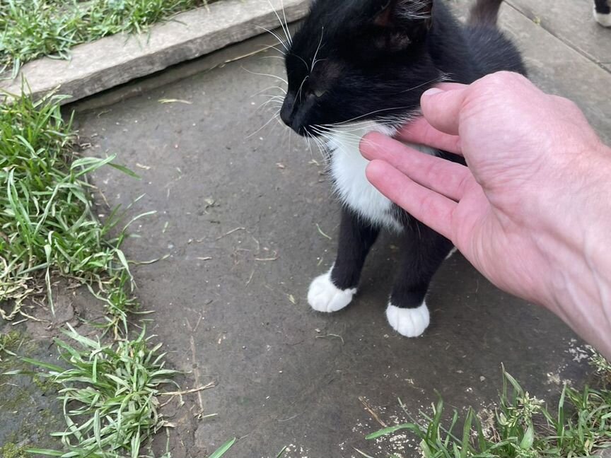 Очень ласковый мальчик