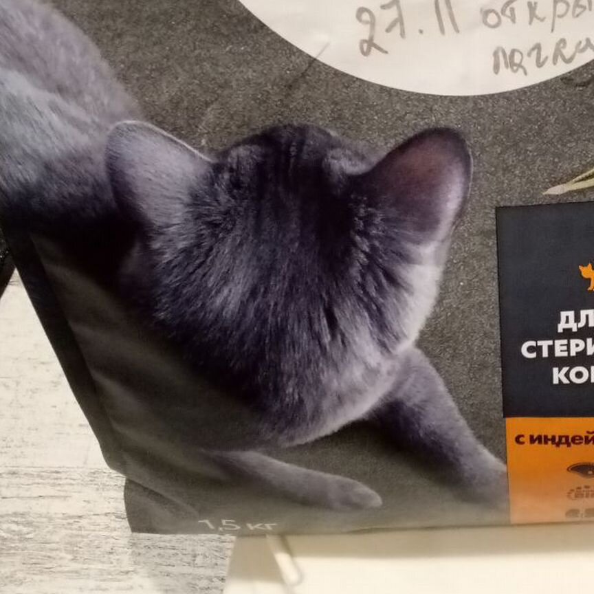 Корм для кошек