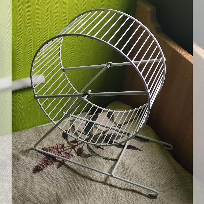 Отдам колесо для хомяка беговое