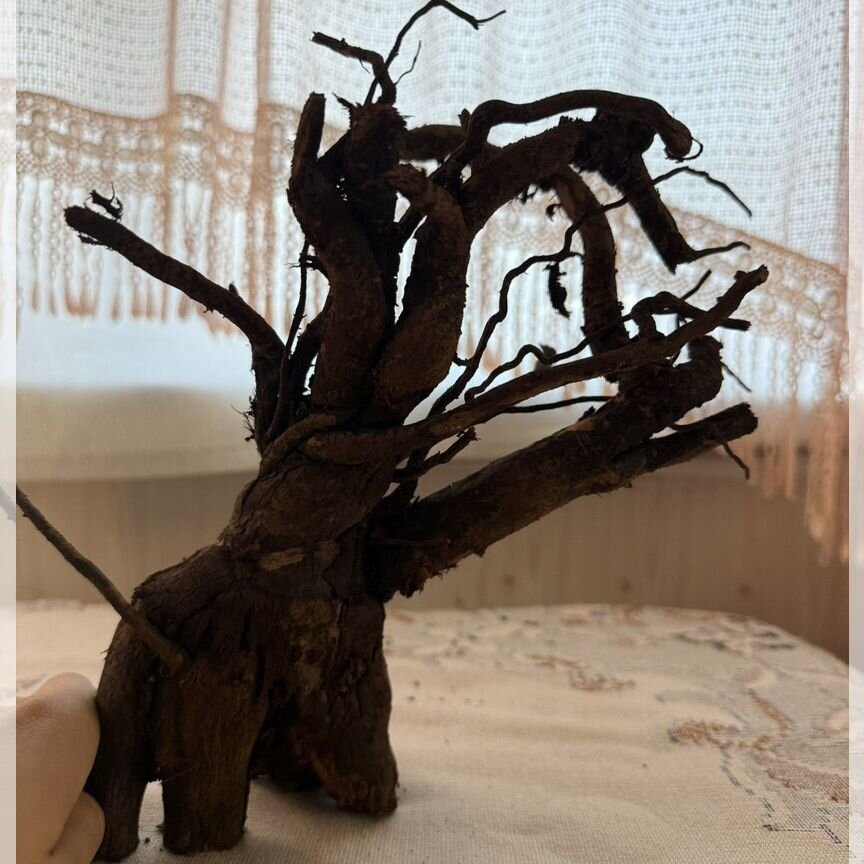 Коряги для террариума