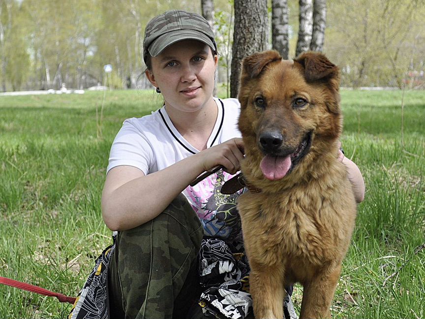 Бывший домашний пес попал в приют