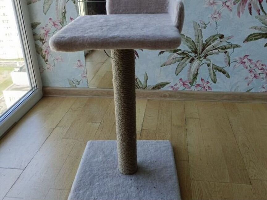 Когтеточка