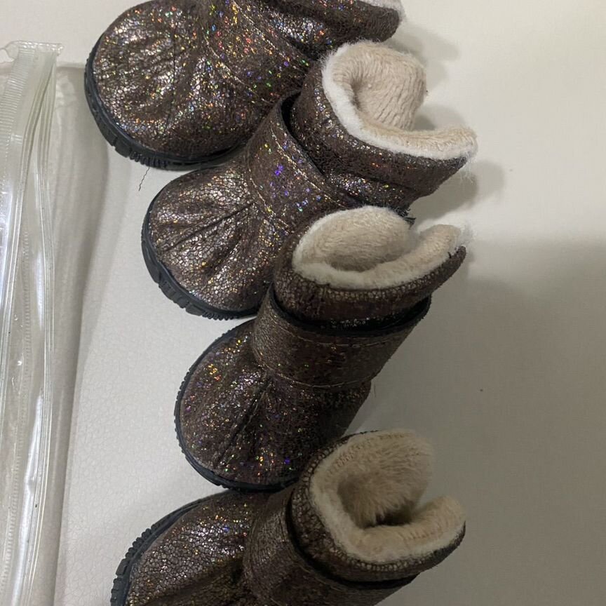 Ботиночки на собаку