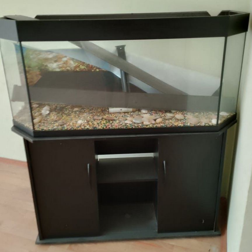 Аквариум- террариум