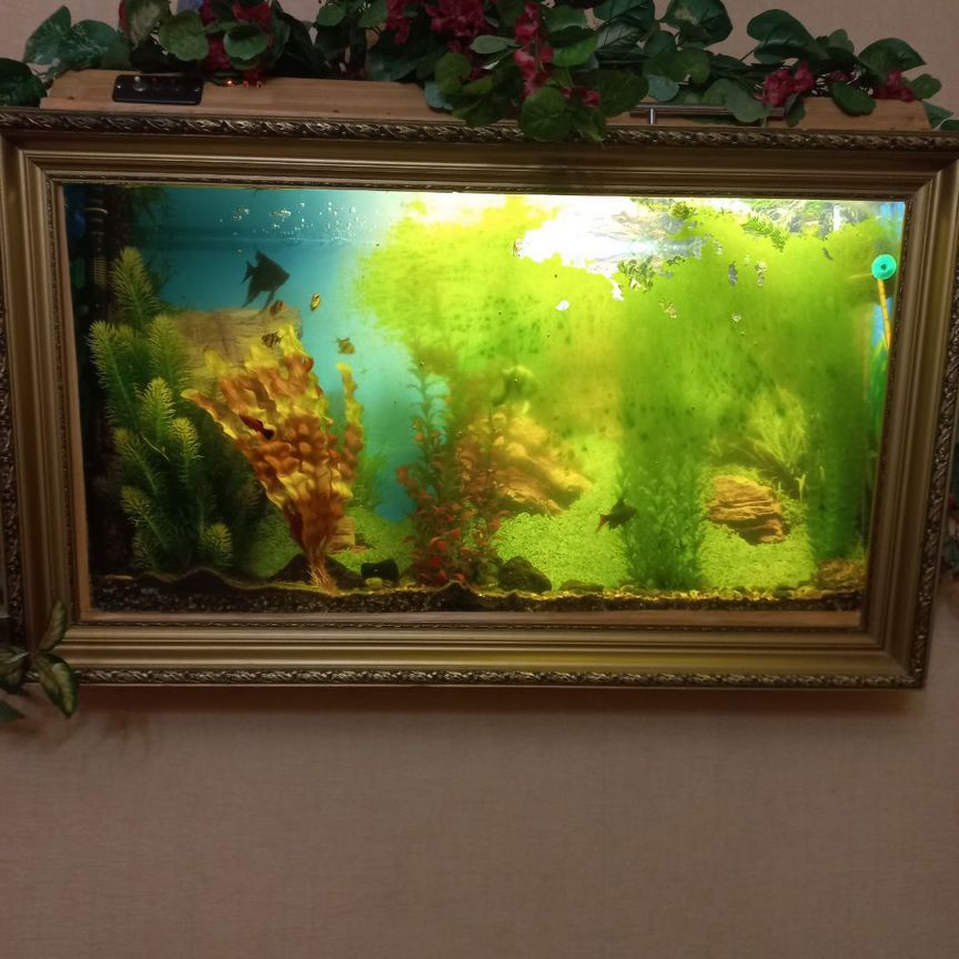 Аквариум на 95л