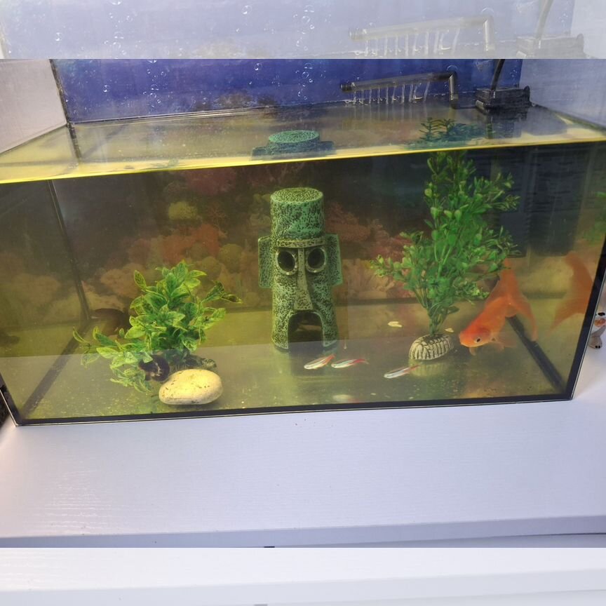 Продам аквариум