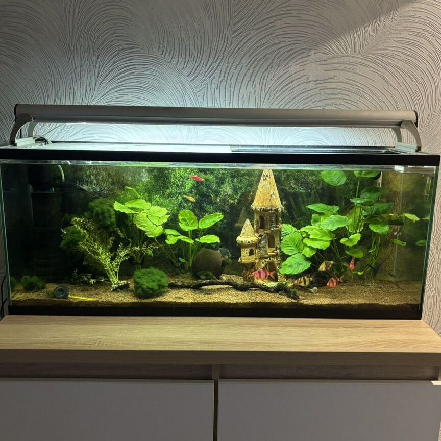 Аквариум с рыбками 100л