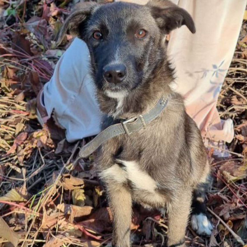 Мальчик ищет семью