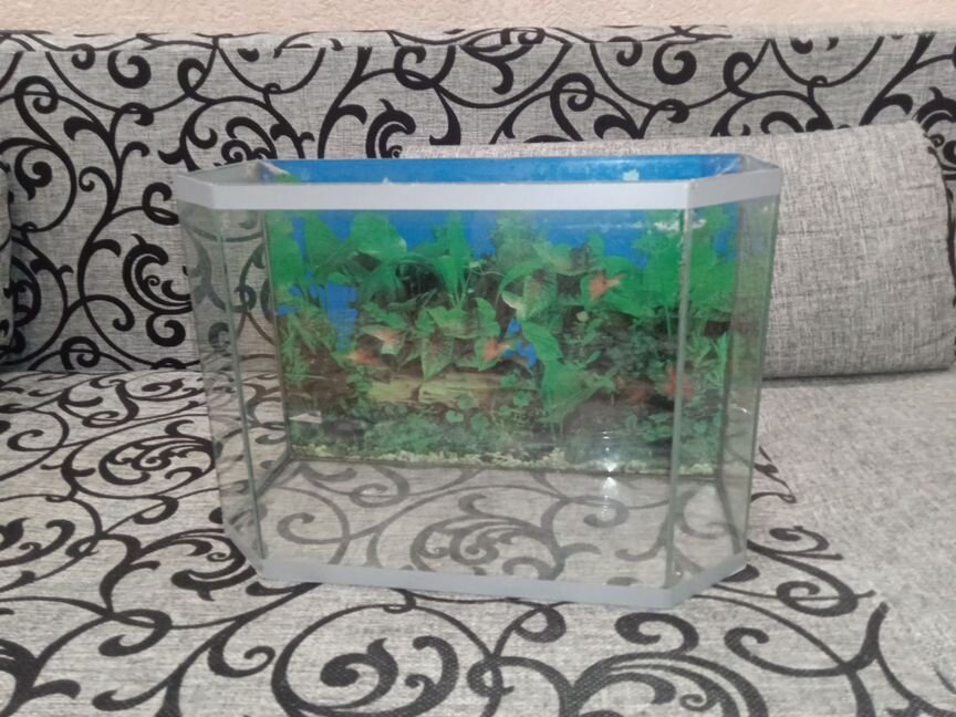 Аквариум 15 литров