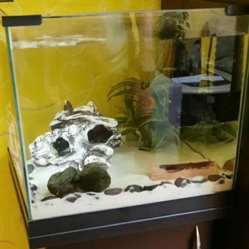 Аквариум