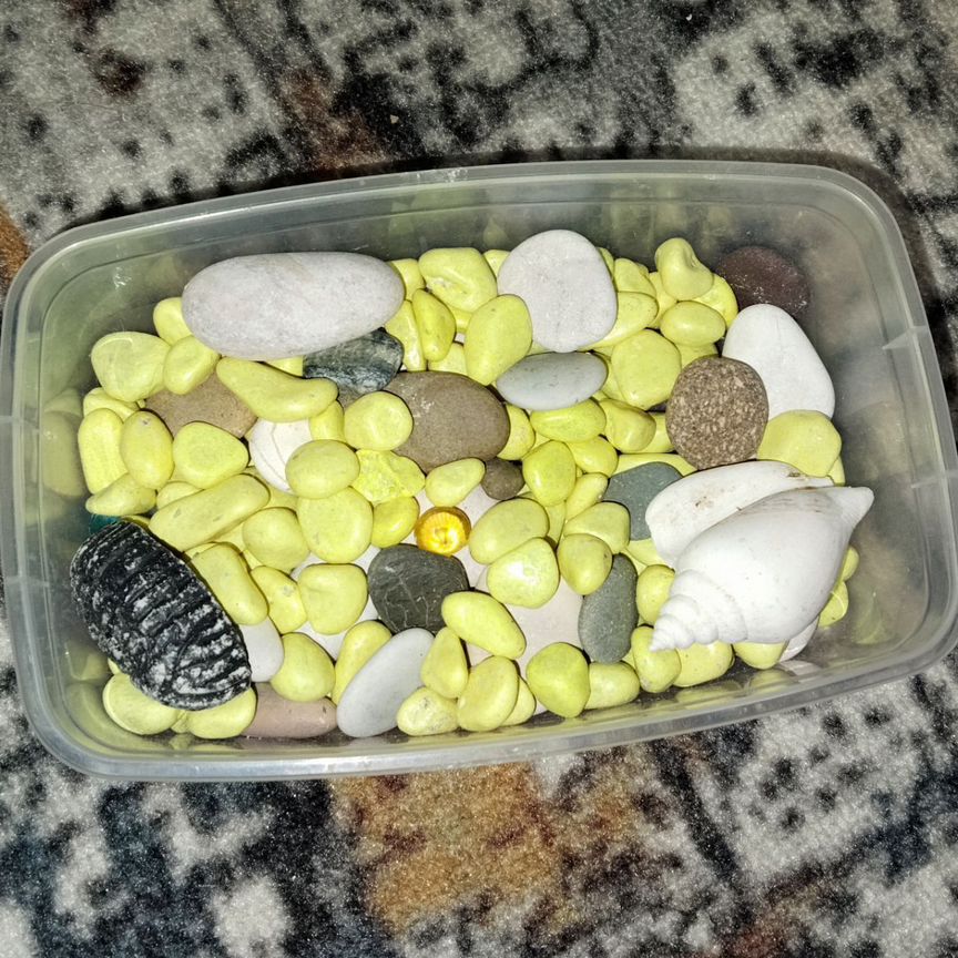 Аквариум для рыбок 10 л