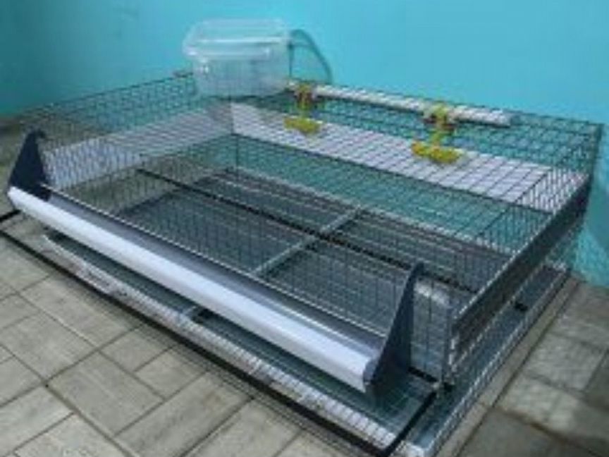 Клетка для перепелов