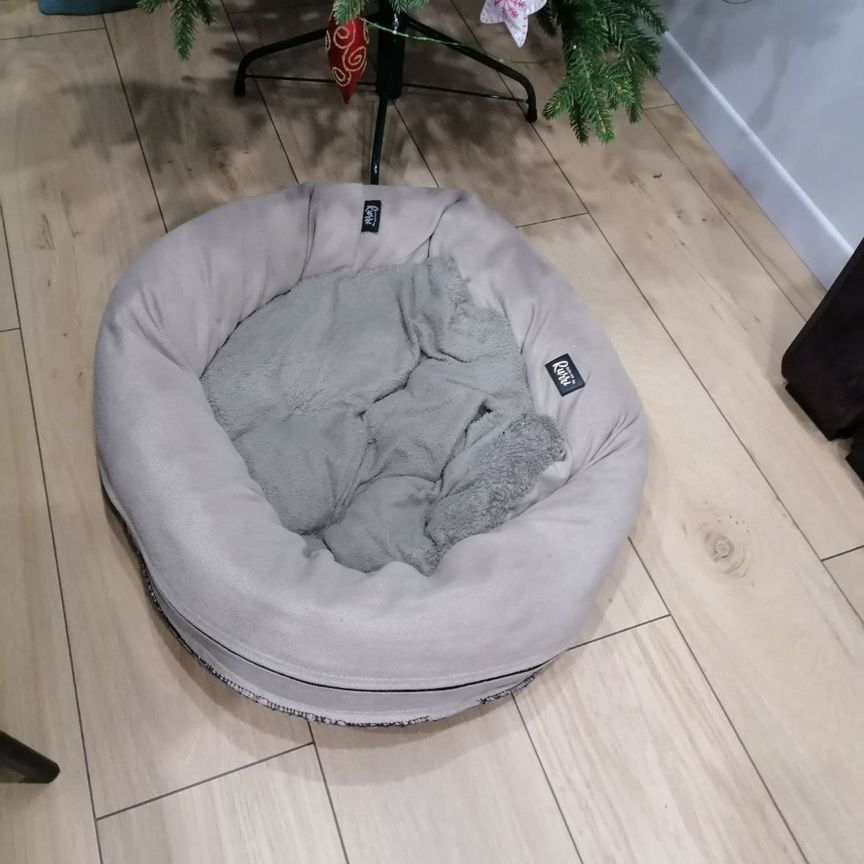 Лежанка Rurri, пользовались не долго