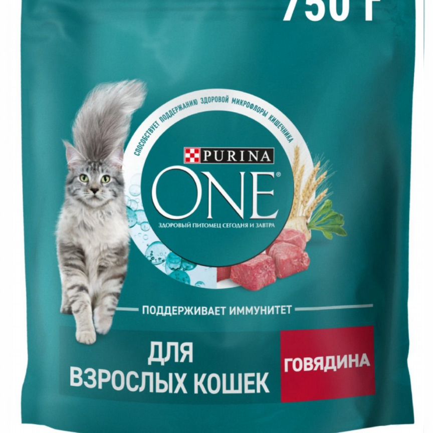 Корм для кошек purina one