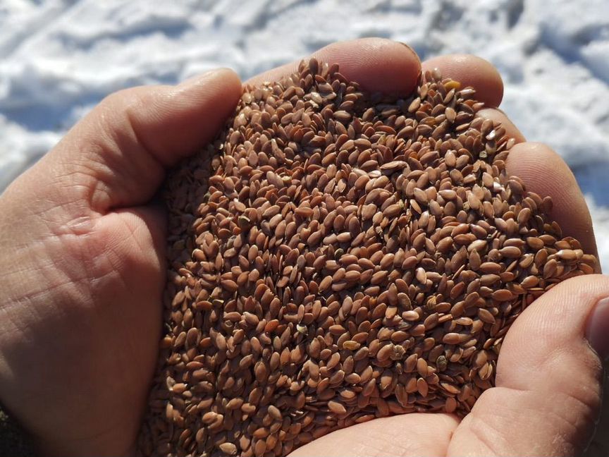 Комбикорм семена льна