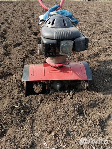 Мотокультиватор Sungarden T240S 50/60 купить в Красноярске | Товары для ...