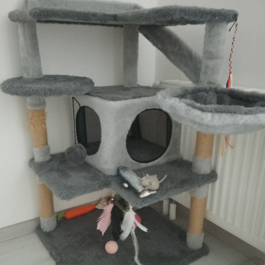 Игровой комплекс для кошек бу