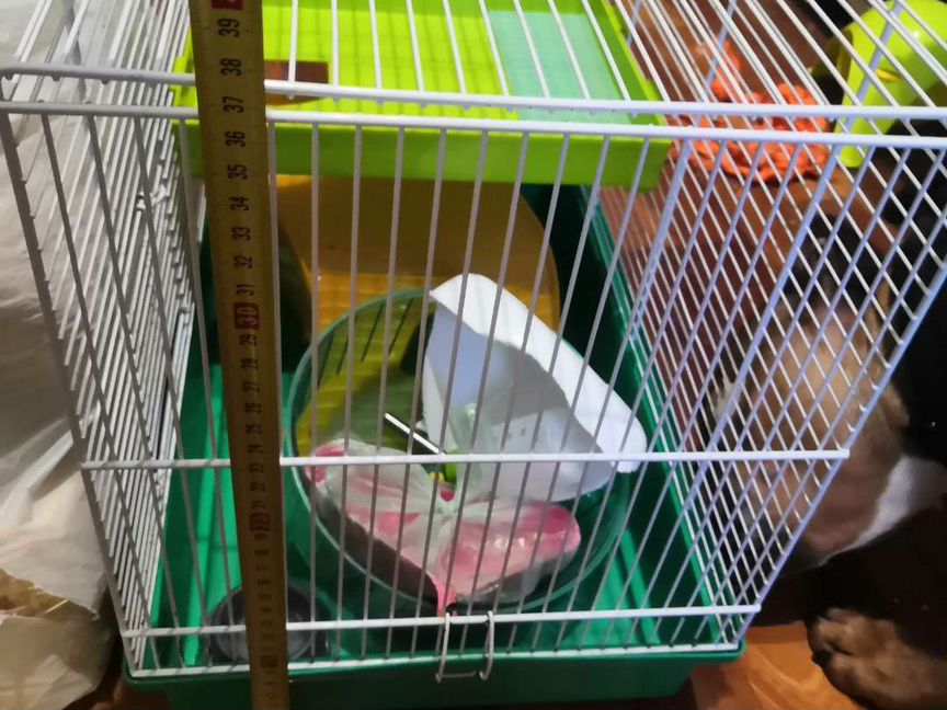 Клетка для грызунов(хомяки, мыши)